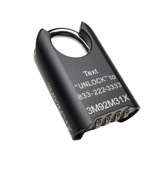 DaVinci Lock – DaVinci Lock Self Storage, Inc.