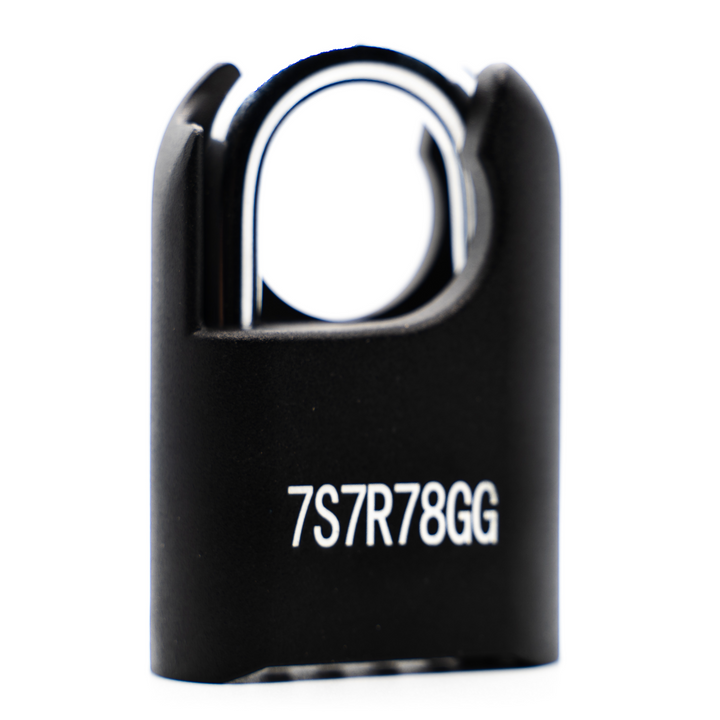 DaVinci Lock – DaVinci Lock Self Storage, Inc.