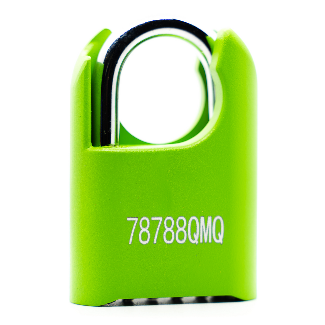 DaVinci Lock – DaVinci Lock Self Storage, Inc.